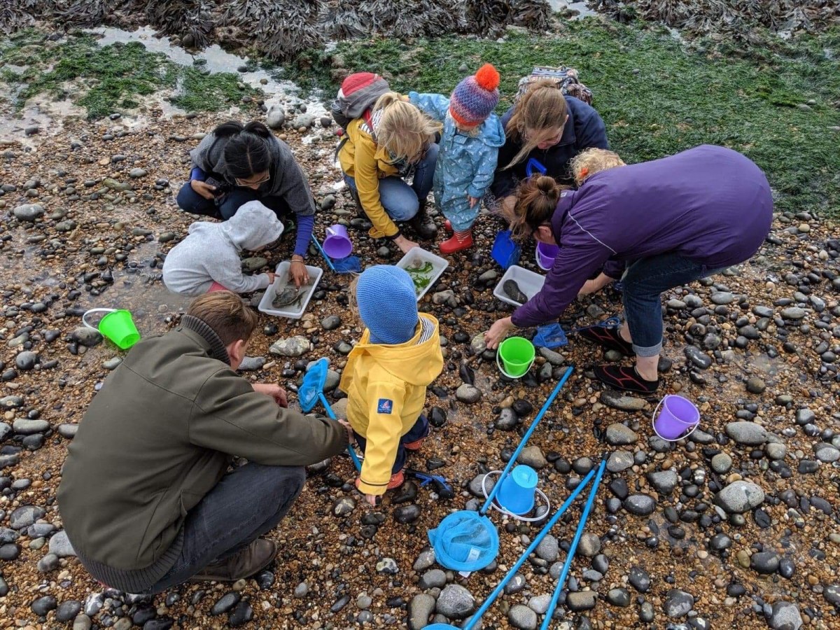 September at the Beach School – Holdfast Beach and Forest School – East ...