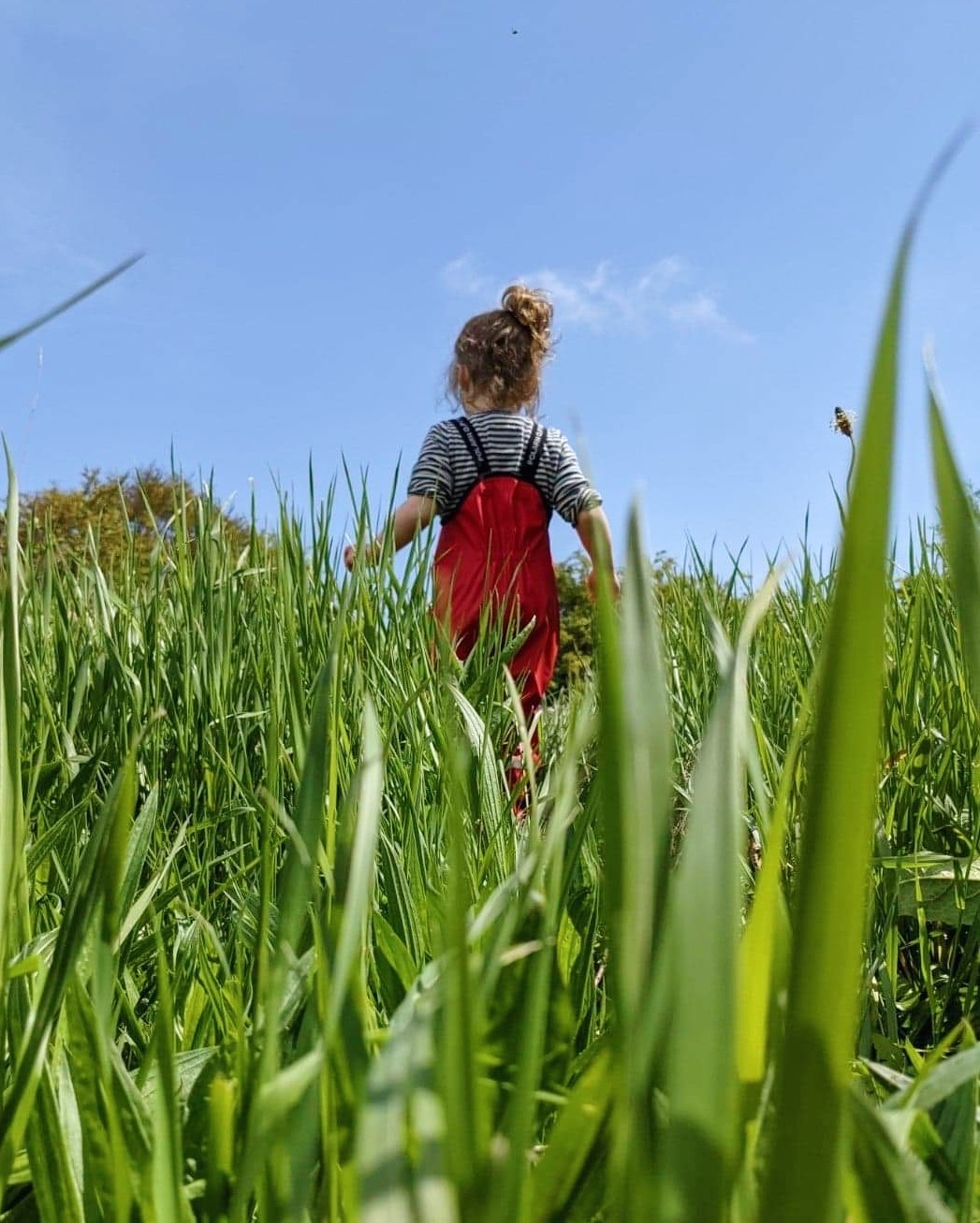 Outdoor Learning – Holdfast Beach and Forest School – East Kent, UK